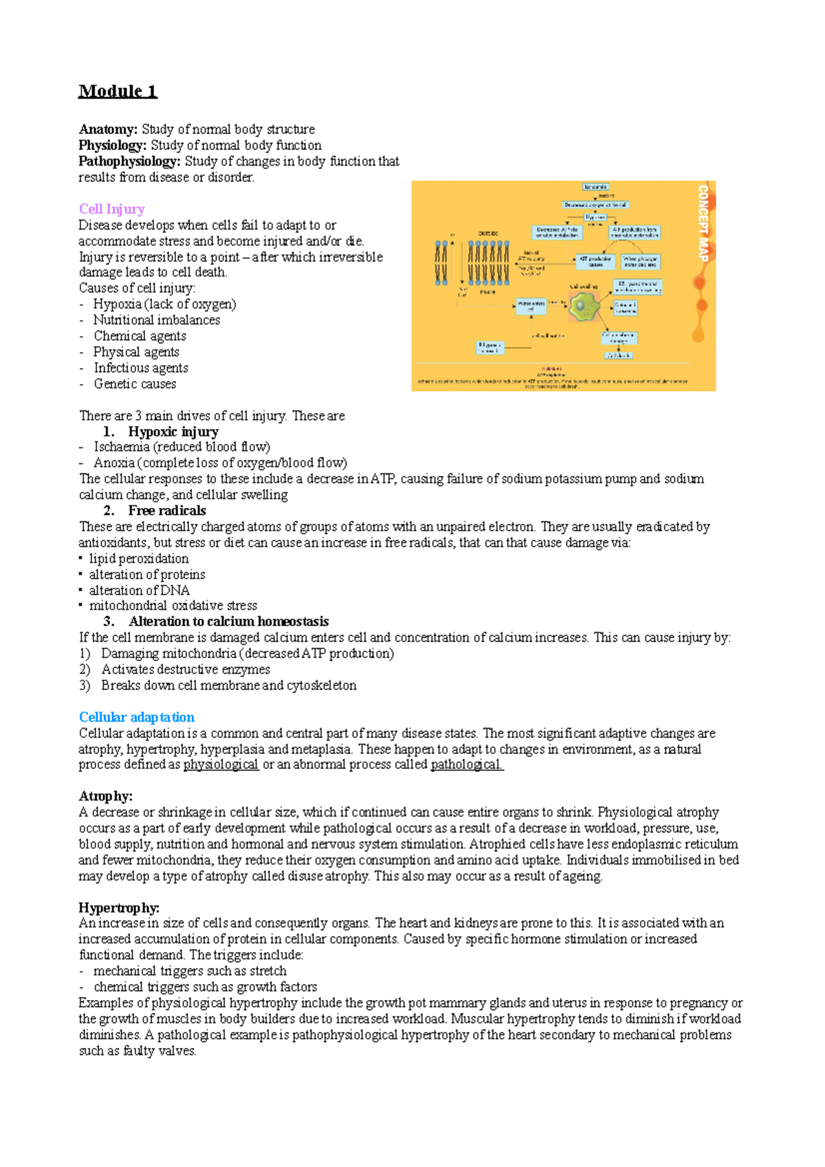 Adult health care 1 exam notes - Module 1 Anatomy: Study of normal body ...