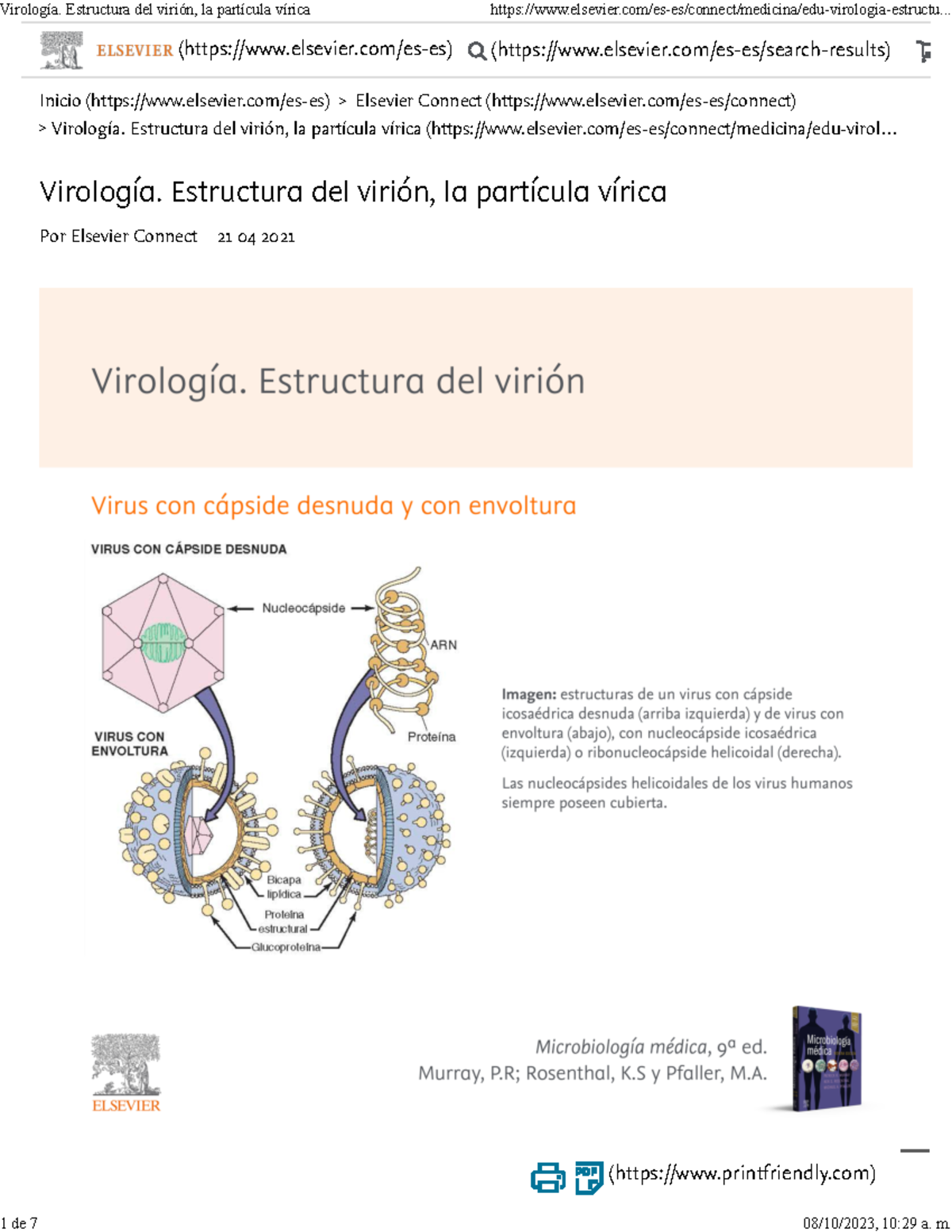 Virología. Estructura del virión, la partícula vírica - Inicio ...