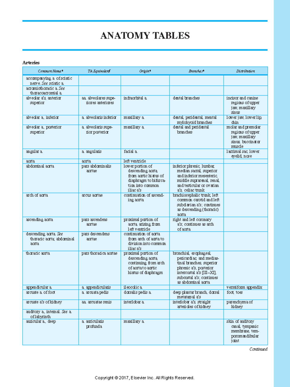 Anatomy tables for human body Summary Chart - ANATOMY TABLES Common ...