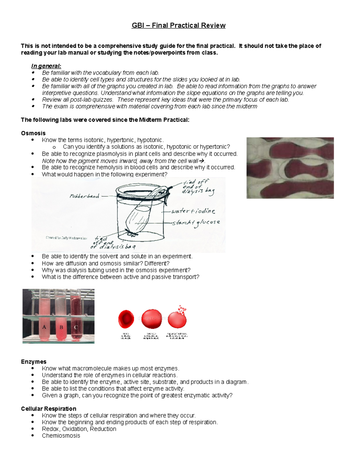 GB1 Final Review 2022 - General Biology 1 Labratory study guide - GBI ...