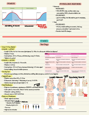 Postpartum Case Study - NURS417 - UMB - Studocu