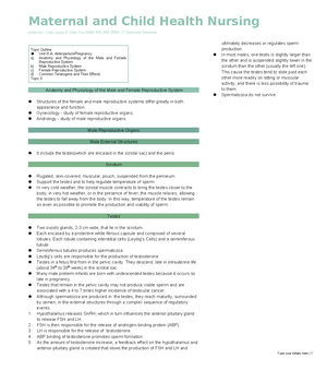 Training-PLAN-for-FLD-in HSK NC II - ANNEX A Training Plan Program ...
