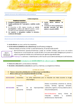 Catalogo NOV. ACT - CATÁLOGO DE PRODUCTOS ALIMENTOS ACEITE FINO LIGHT 4 ...