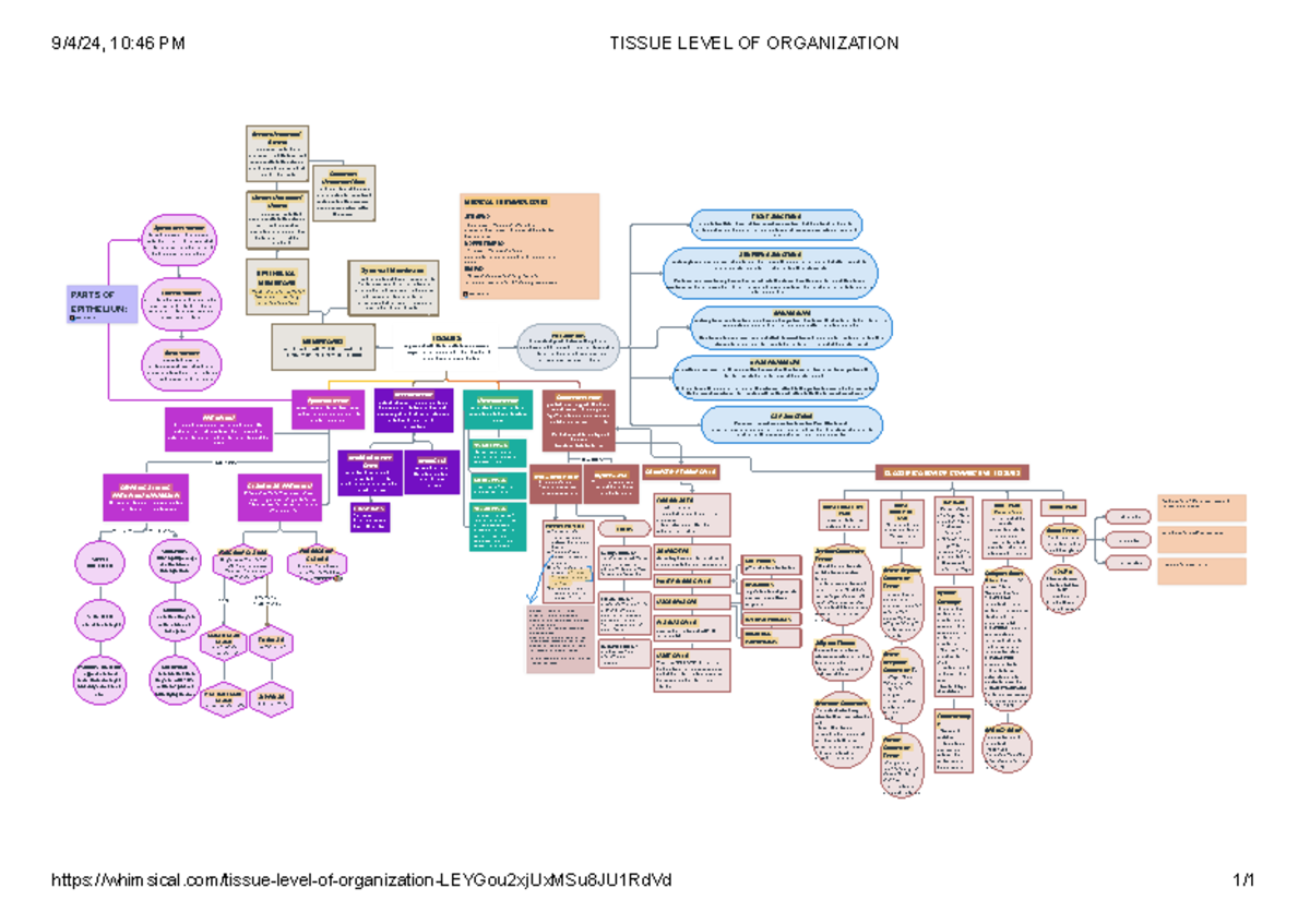 Tissue Level OF Organization MIND MAP - protects and supports the ...