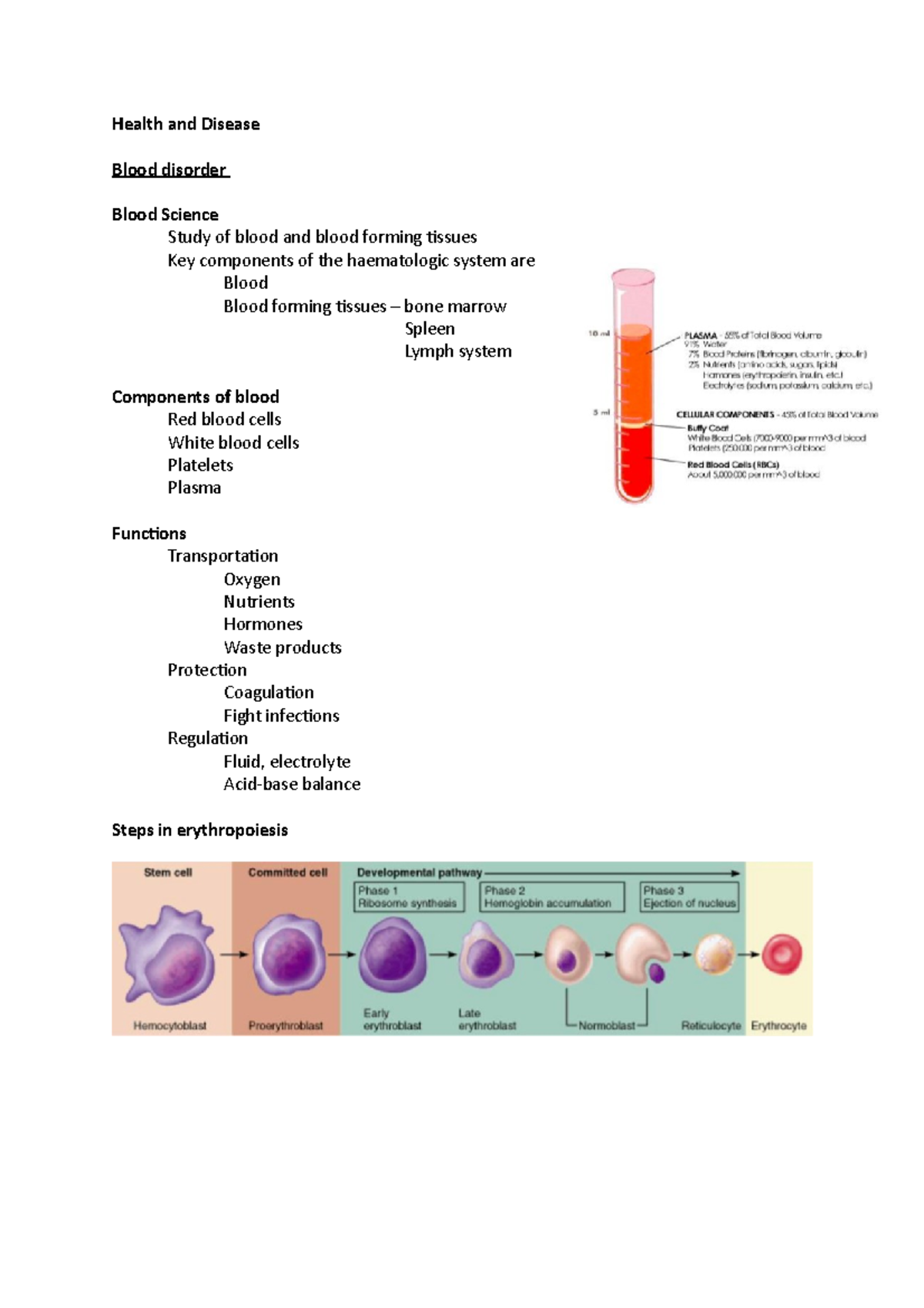 Health and disease - blood disorders - Health and Disease Blood ...