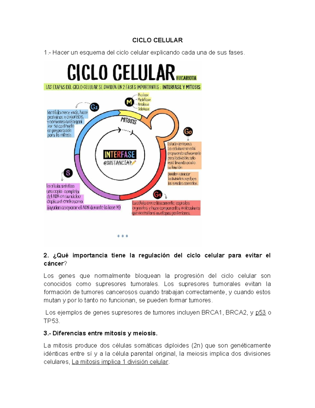 Cuestionario - CICLO CELULAR 1.- Hacer un esquema del ciclo celular explicando cada una de sus ...