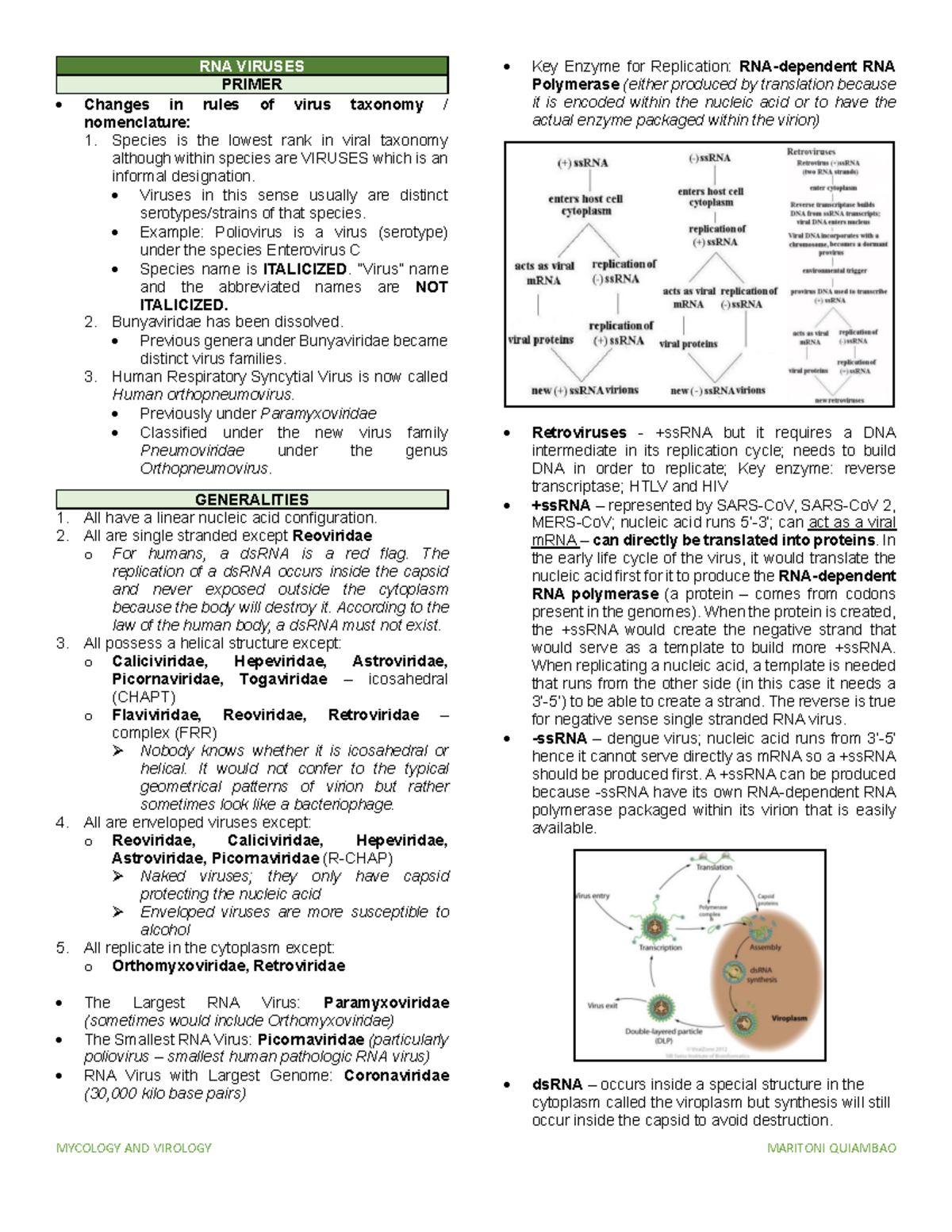 RNA Viruses RNA - RNA VIRUSES PRIMER Changes in rules of virus taxonomy ...