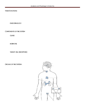 24. Urinary outline - URINARY SYSTEM MAIN FUNCTIONS: UROLOGIST ORGANS ...