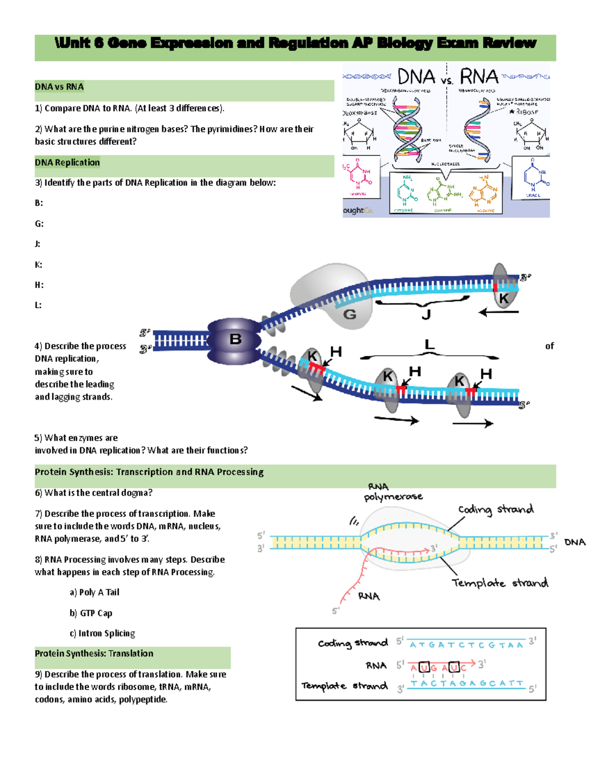 Gene Expression and Regulation - (At least 3 differences). 2) What are ...