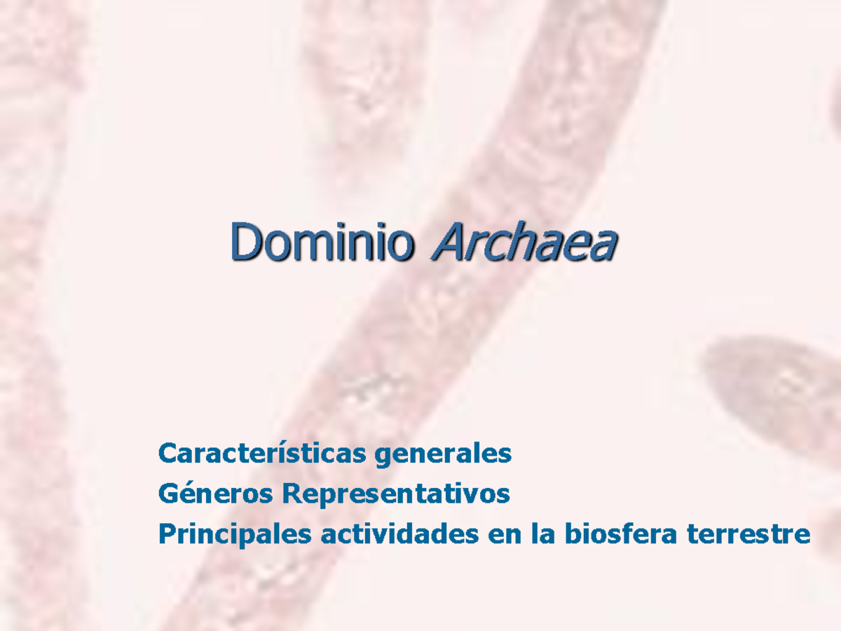 Diapositivas - Dominio Archaea - Dominio Archaea generales ...