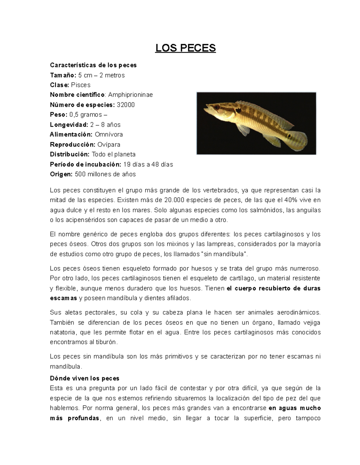 LOS Peces - LOS PECES Características de los peces Tamaño: 5 cm – 2 ...