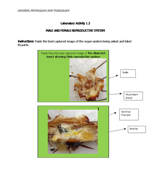 Different Pesticide Formulations - Complete the following tables by ...