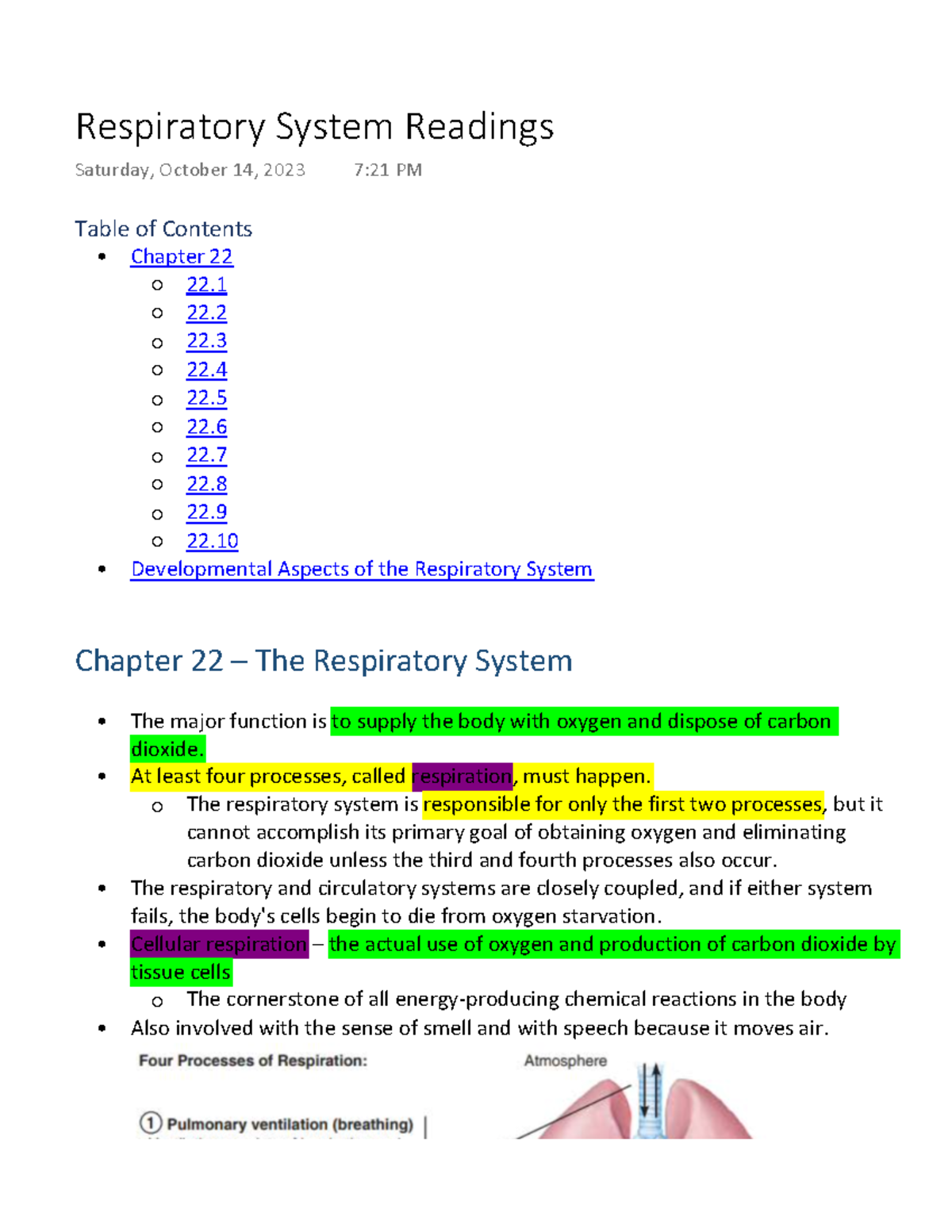 Respiratory System Readings - Table of Contents Chapter 22 22. 22. 22 ...