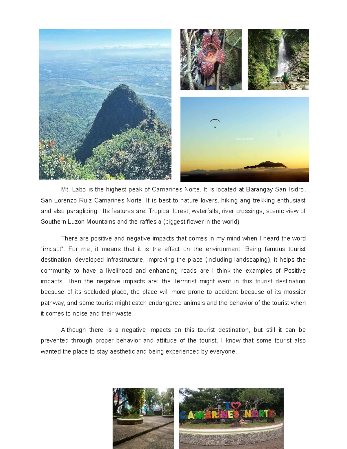 Mt. Labo tourism - Mt. Labo is the highest peak of Camarines Norte. It ...