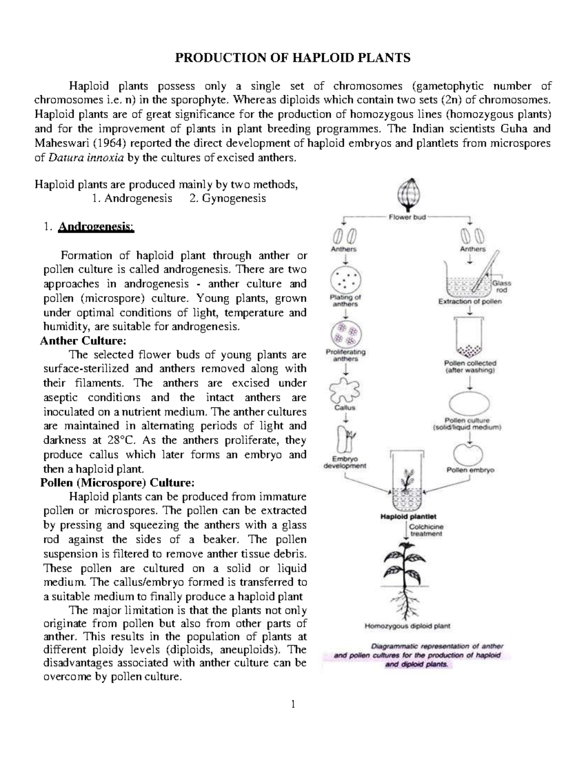 Haploid production - It's an easy note - PRODUCTION OF HAPLOID PLANTS ...