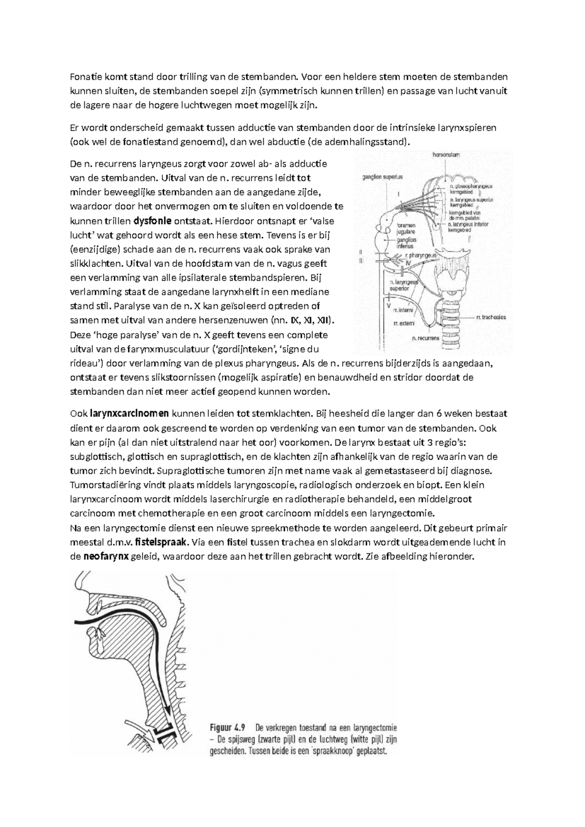EL Stemklachten Heesheid - Fonatie komt stand door trilling van de ...