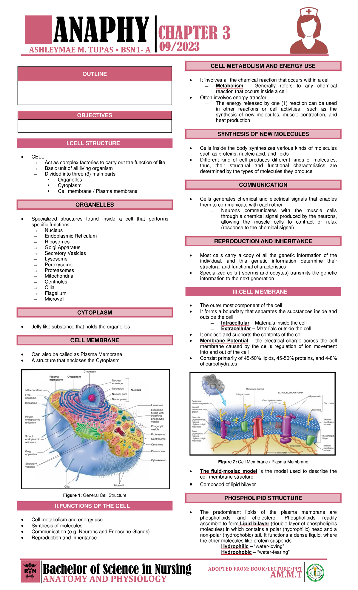 Anaphy-Chapter 3 - ANAPHY ####### ASHLEYMAE M. TUPAS • BSN1- A CHAPTER ...