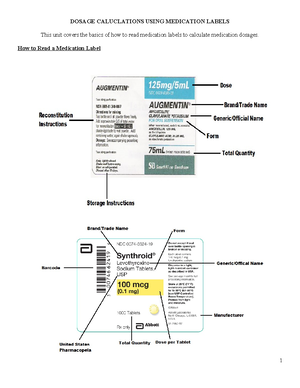 Safe+Dose+Worksheet - Safe Dose Worksheet 1. The doctor has ordered ...