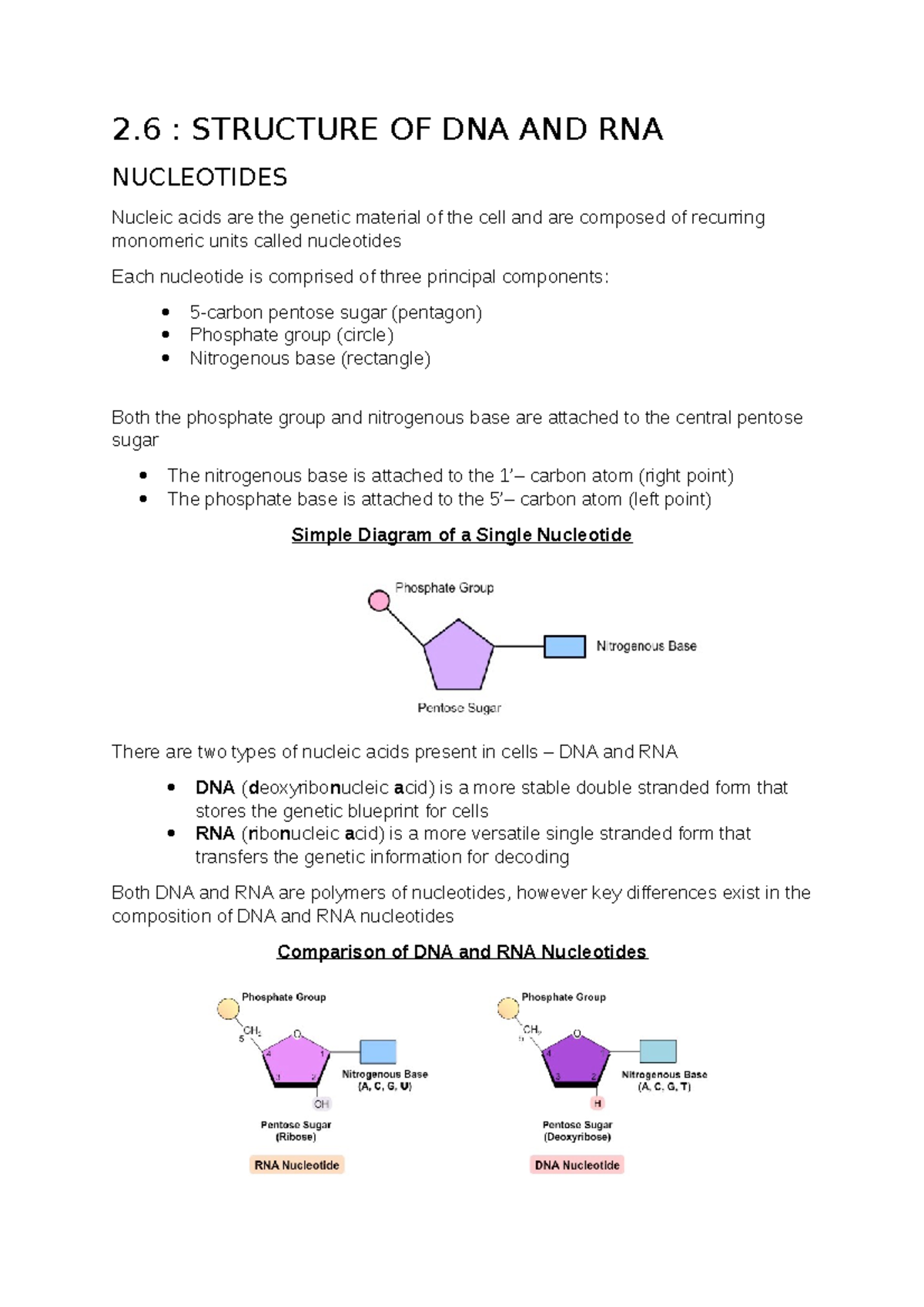 Molecular Biology Notes BIO strucutre of DNA RNA - 2 : STRUCTURE OF DNA ...