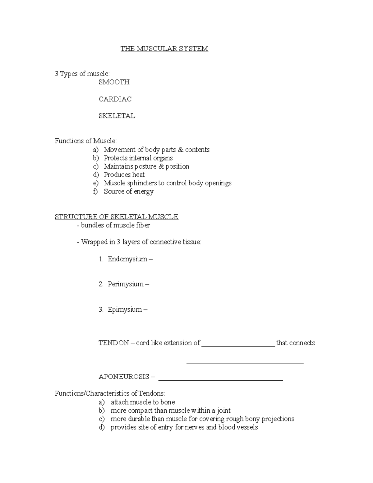 #5 - Muscle student outline - THE MUSCULAR SYSTEM 3 Types of muscle ...