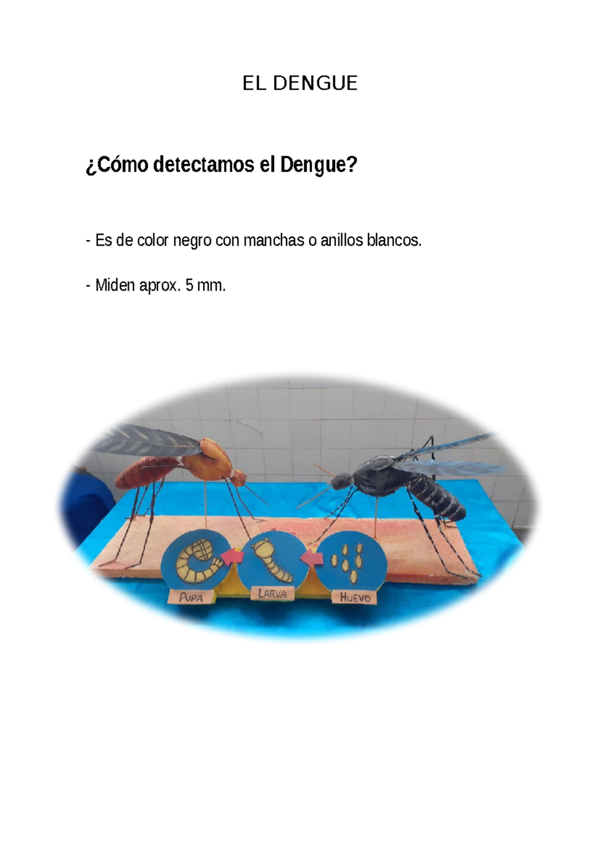 EL Dengue - ciencias - EL DENGUE ¿Cómo detectamos el Dengue? - Es de color negro con manchas o ...