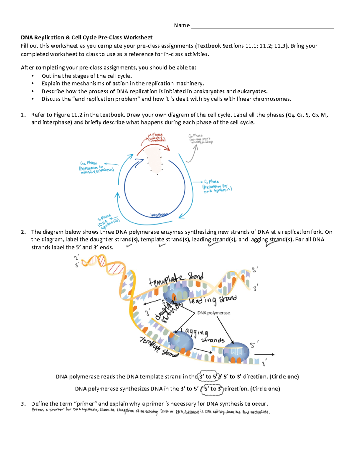 Week 9a Pre-Class Reading Guide - DNA Replication Cell Cycle - Name ...