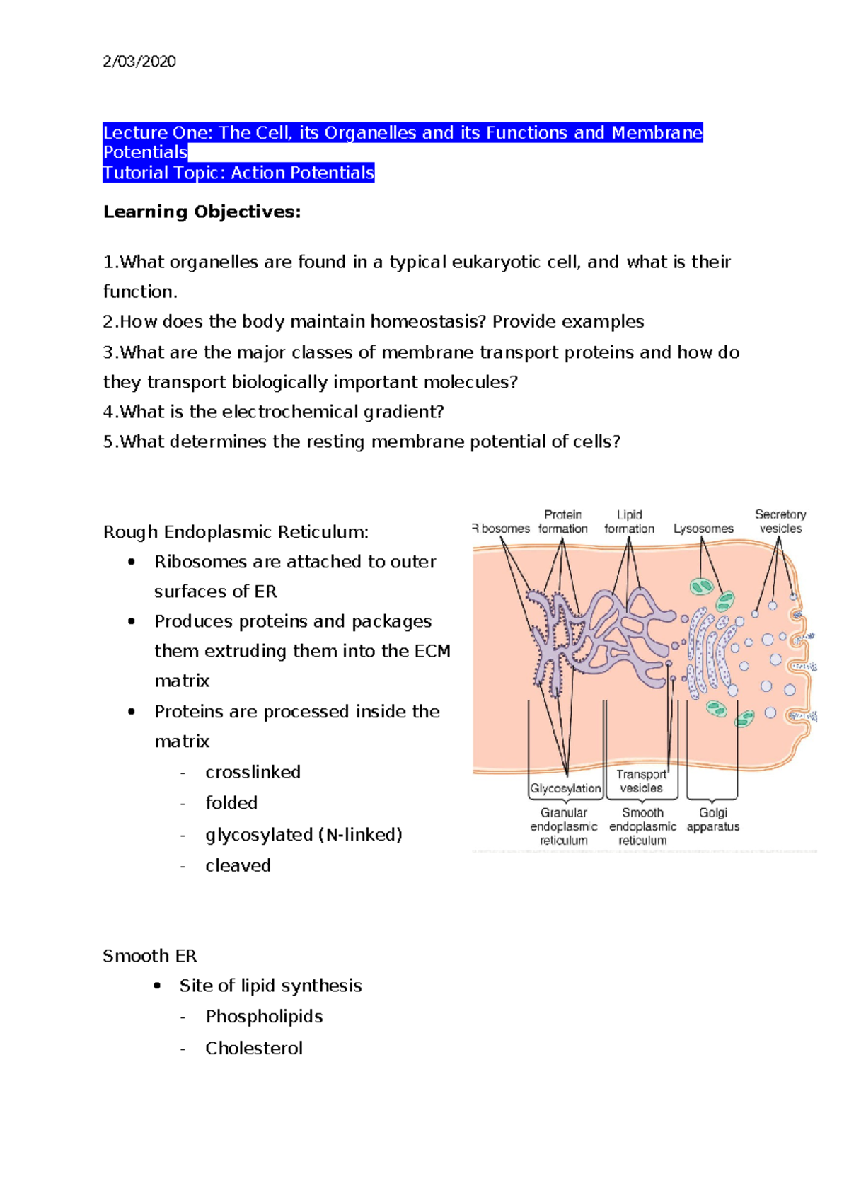 Lecture Notes Physiology - Lecture One: The Cell, its Organelles and ...