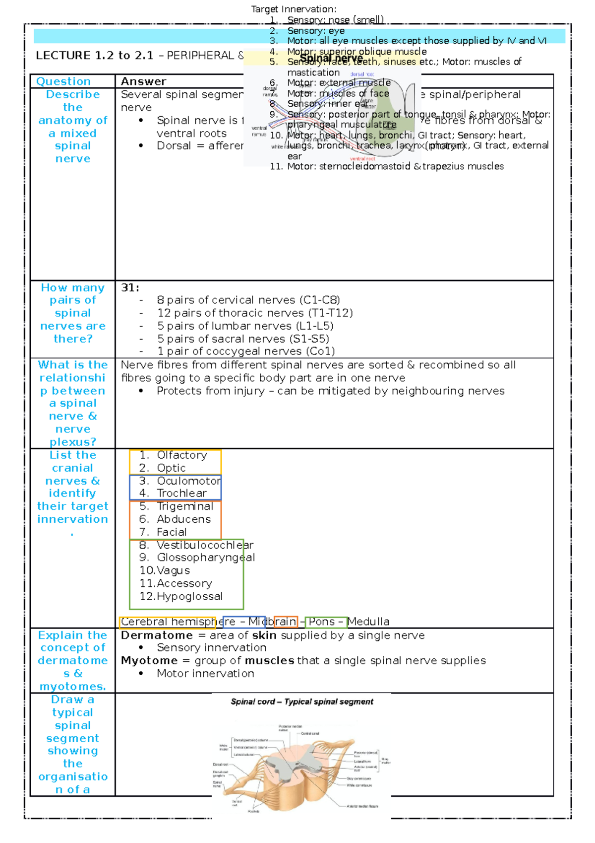 Nervous system notes - LECTURE 1 to 2 – PERIPHERAL & CENTRAL NERVOUS ...