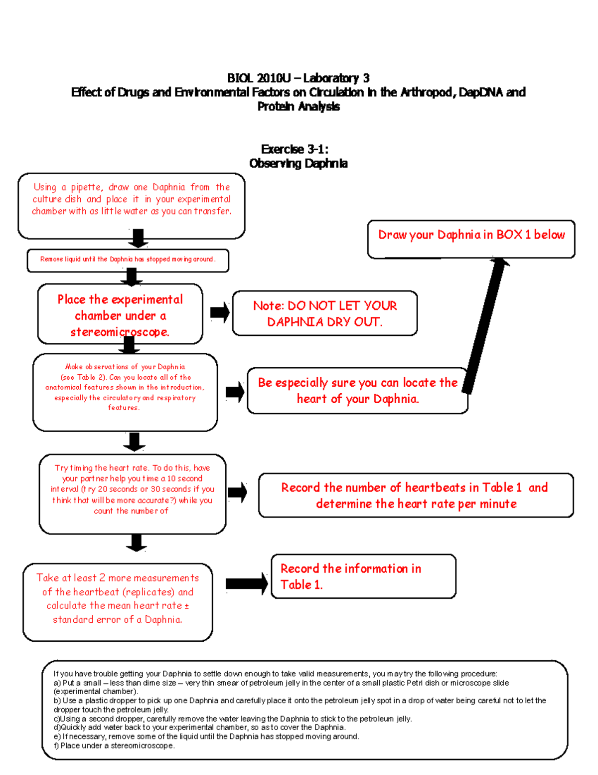 Flow Chart Lab 3 - BIOL 2010U – Laboratory 3 Effect of Drugs and ...