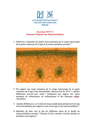 Physiopathologie du cancer - Pr Nadia Dakka Résulte d'une altération ...