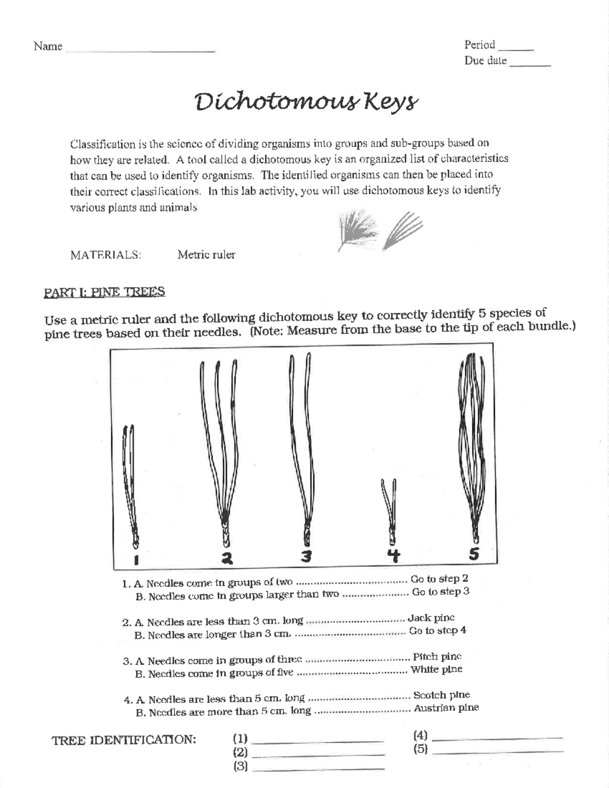 Dichotomous Keys - Biology - Studocu