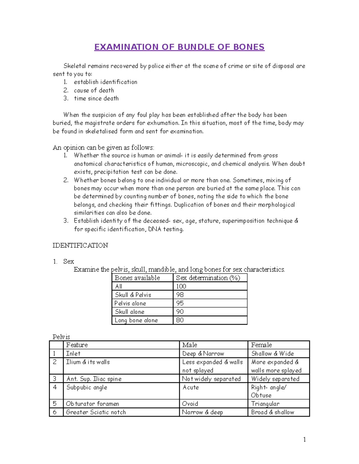Examination of Bundle of Bones - EXAMINATION OF BUNDLE OF BONES ...