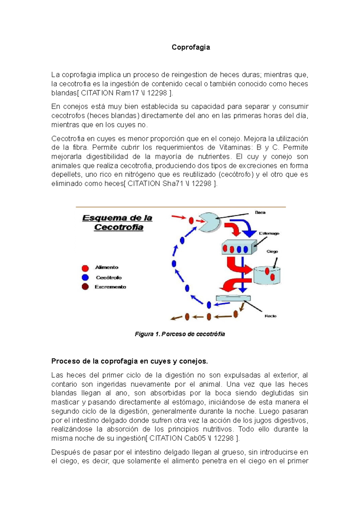 Coprofagia - Coprofagia La coprofagia implica un proceso de reingestion ...