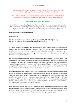 Expert Report DTI - Expert Report Examination summary Set up: During My ...