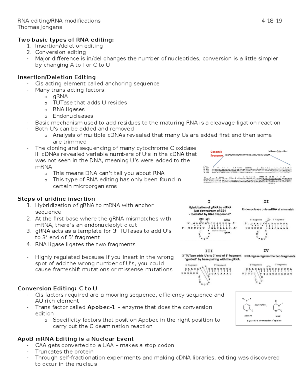 RNA editing and RNA Modifications - RNA editing/RNA modifications ...
