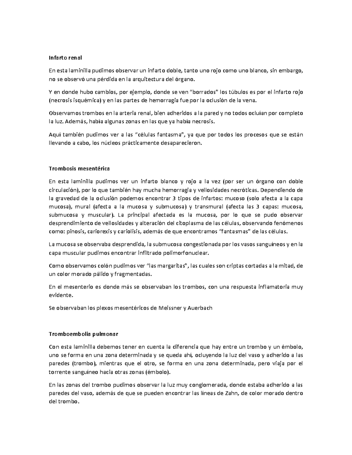 Descripción laminillas - Trastornos hemodinámicos - Infarto renal En ...