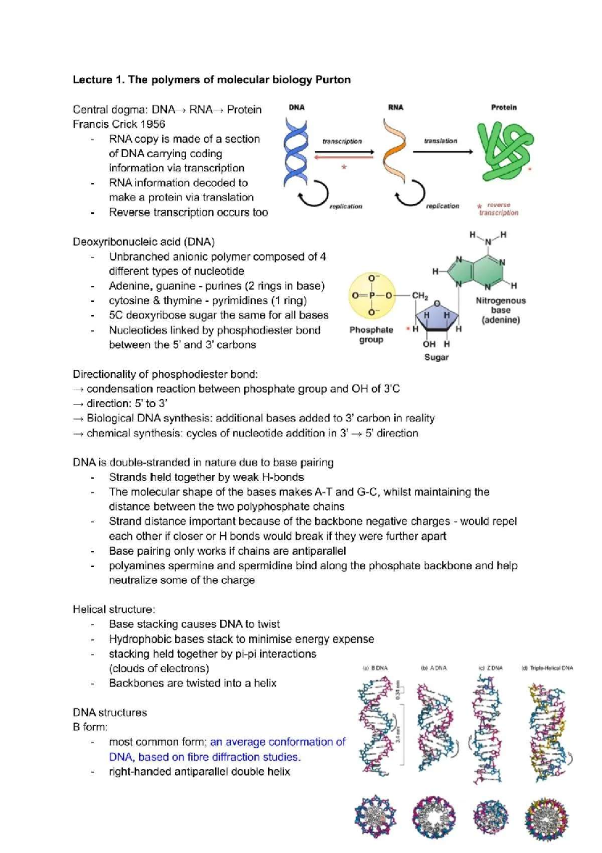 Docu id232324 product - BIOC005 - Studocu