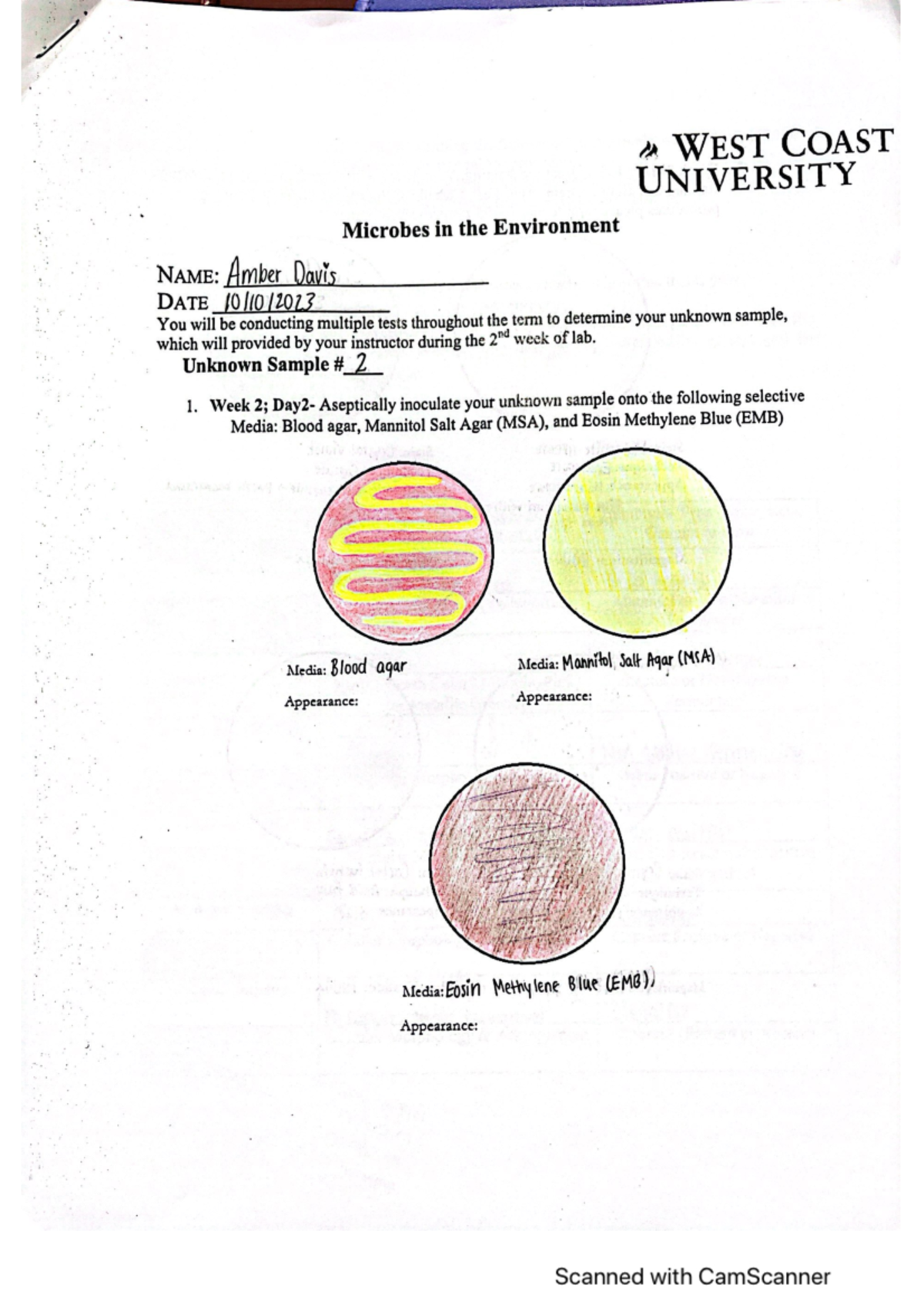 Week 8 lab Micro 290 Amber Davis - BIOL 513 - Studocu