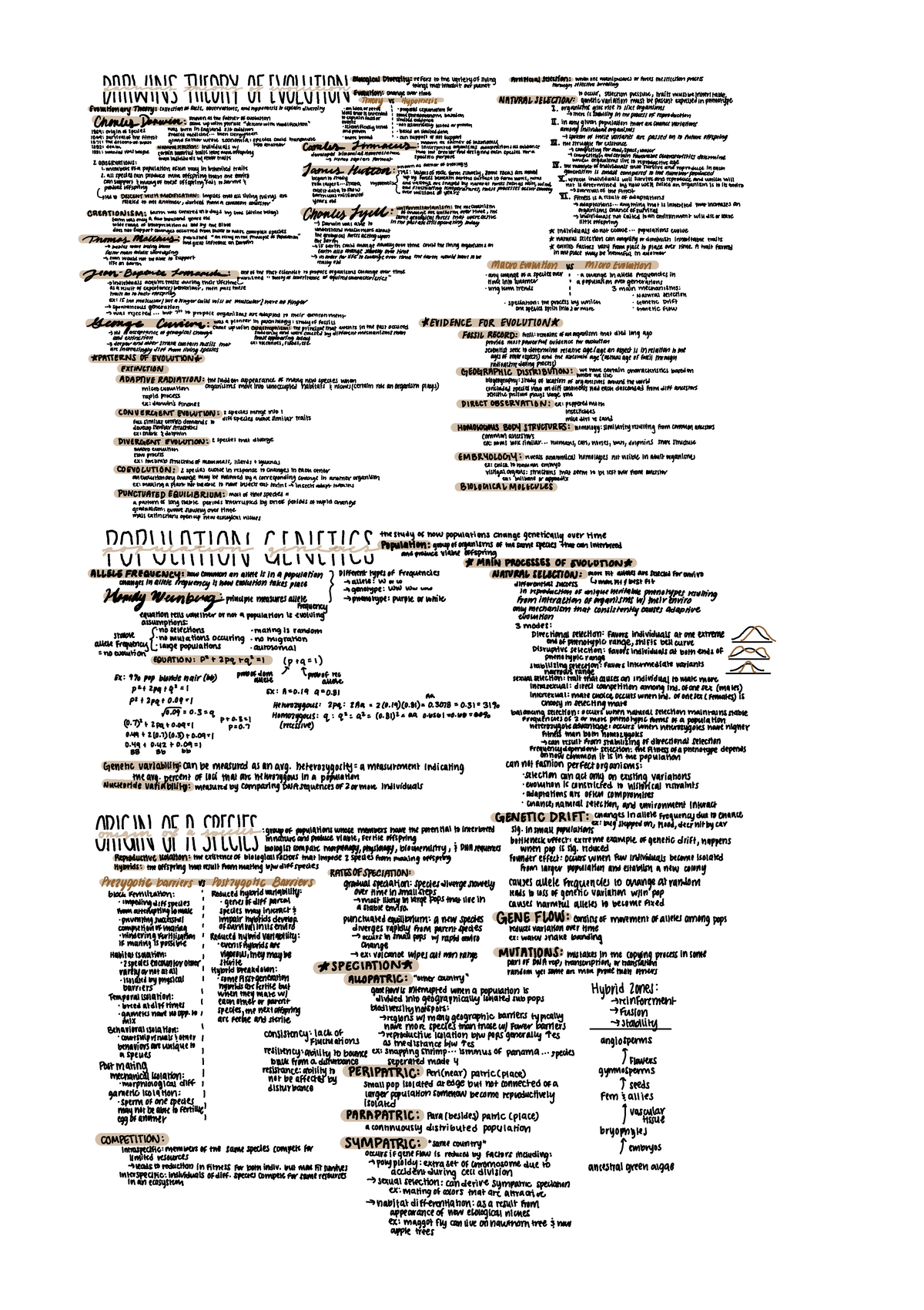 Study Guide 3 - Dr. Jessica Graham - 1111T DI IF 115. IAI INDTH EARTH ...