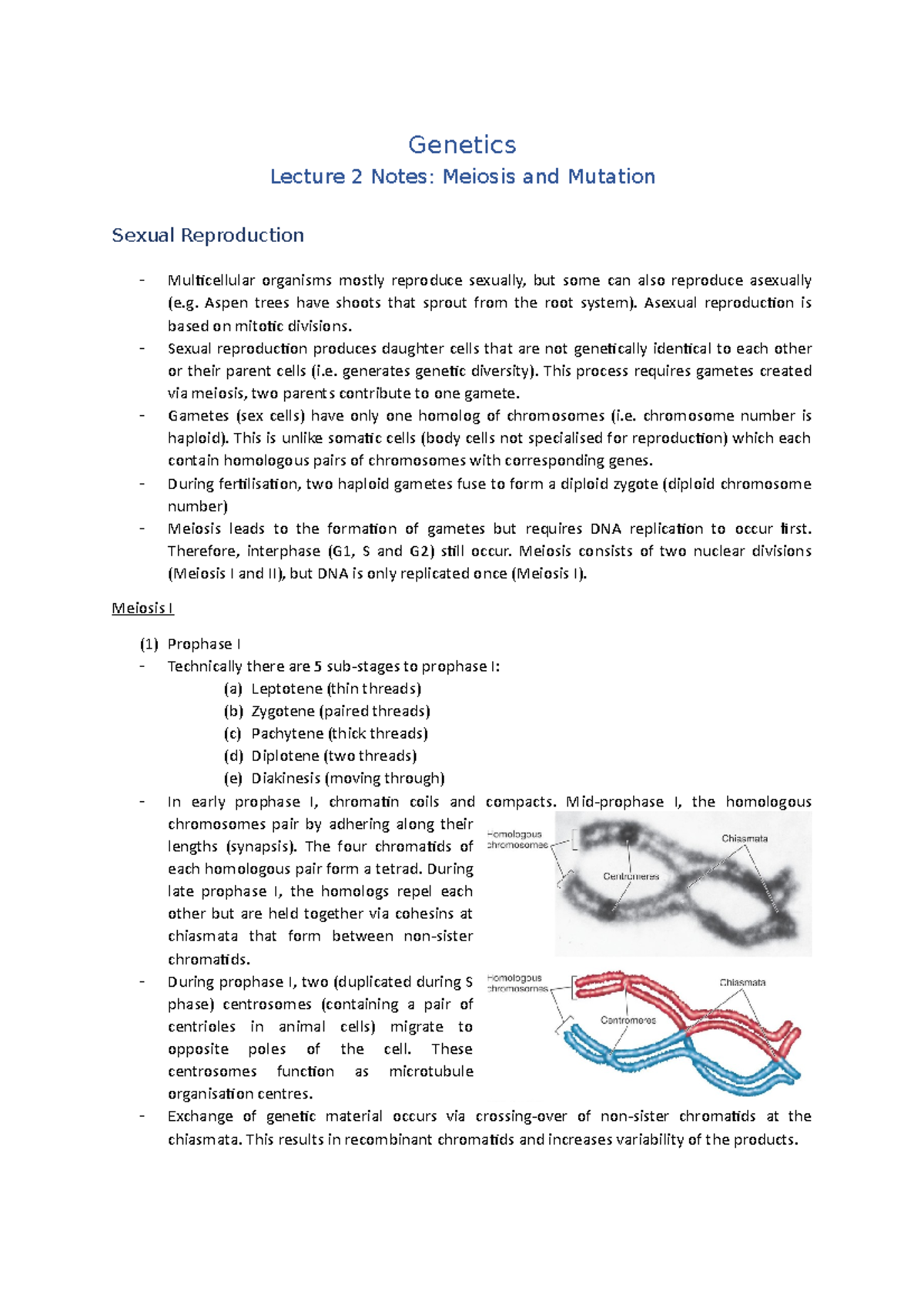 Lecture 2 Notes (Meiosis and Mutations) - Genetics Lecture 2 Notes ...