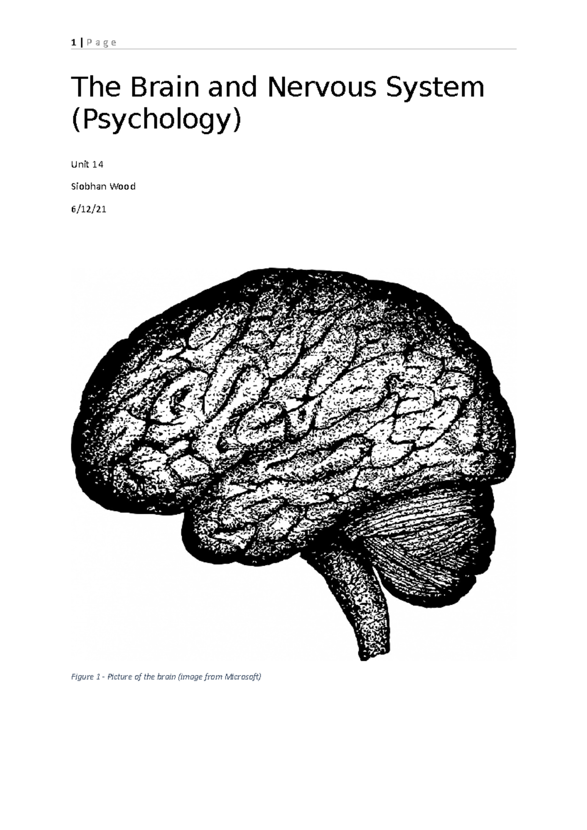 Unit 14 Final The Brain and Nervous System - The Brain and Nervous ...