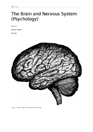 The Brain and Nervous System (Psychology) - RH43MR013 - Studocu