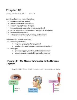Practical 1 - Study Guide - BIO 1211 - Human Anatomy & Physiology I ...