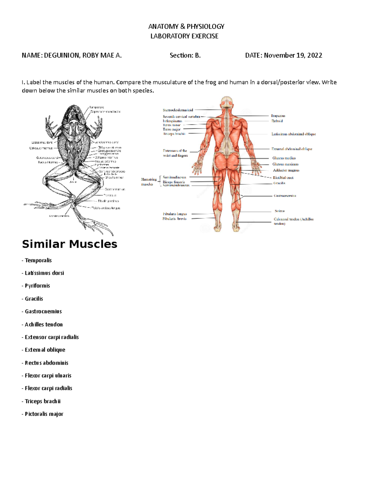 Anaphy 1- Laboratory Exercise - ANATOMY & PHYSIOLOGY LABORATORY ...