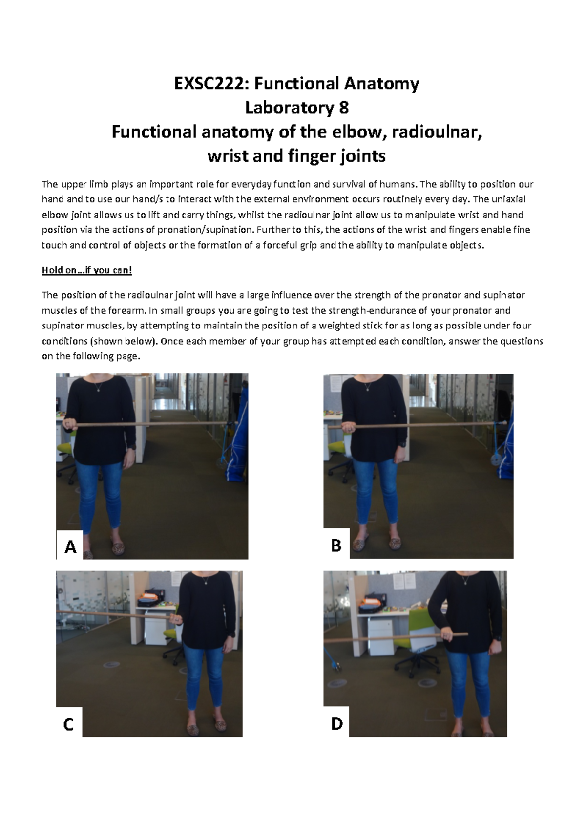 EXSC222 Lab 8 - Functional anatomy of the elbow, radioulnar, wrist and ...