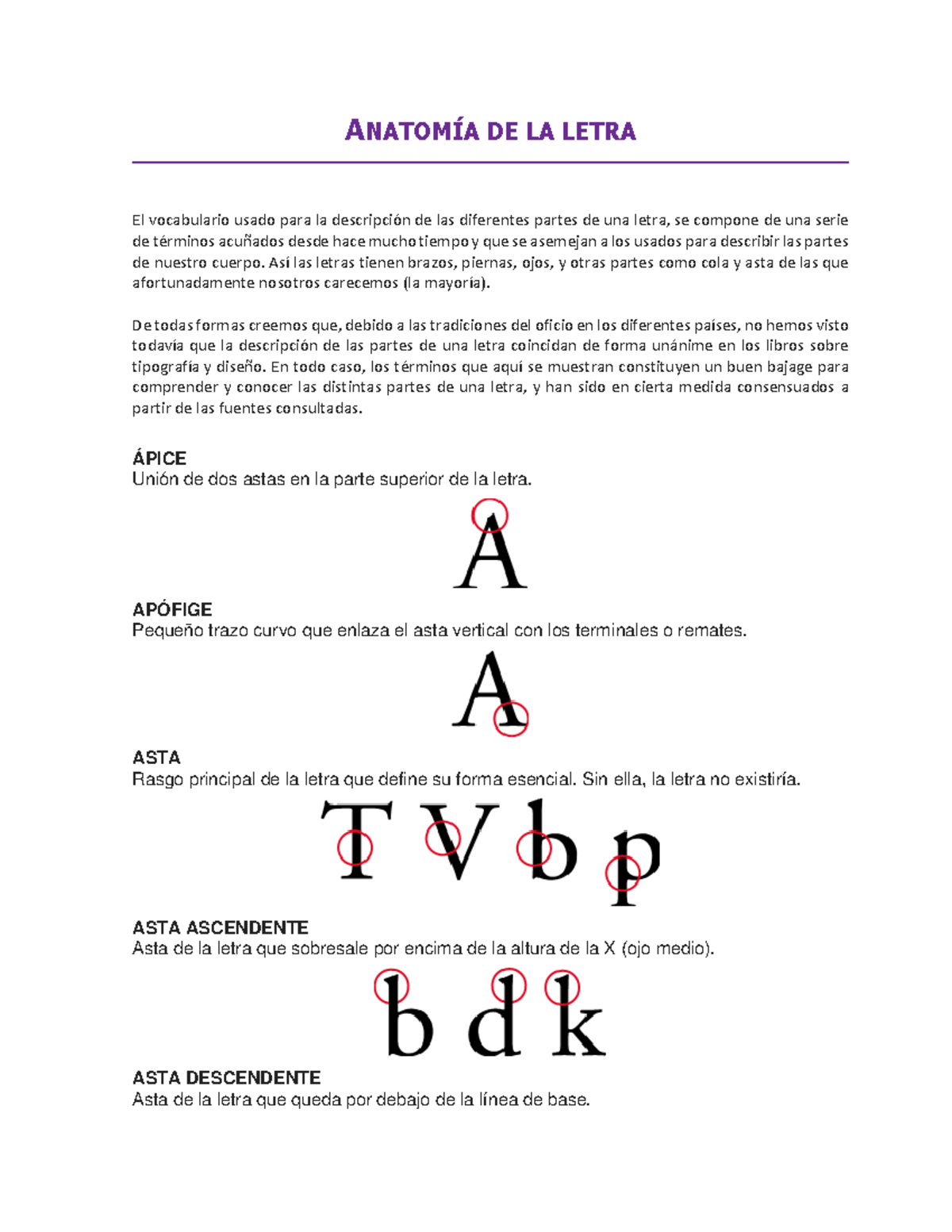 Letraa - sss - ANATOMÕA DE LA LETRA El vocabulario usado para la ...
