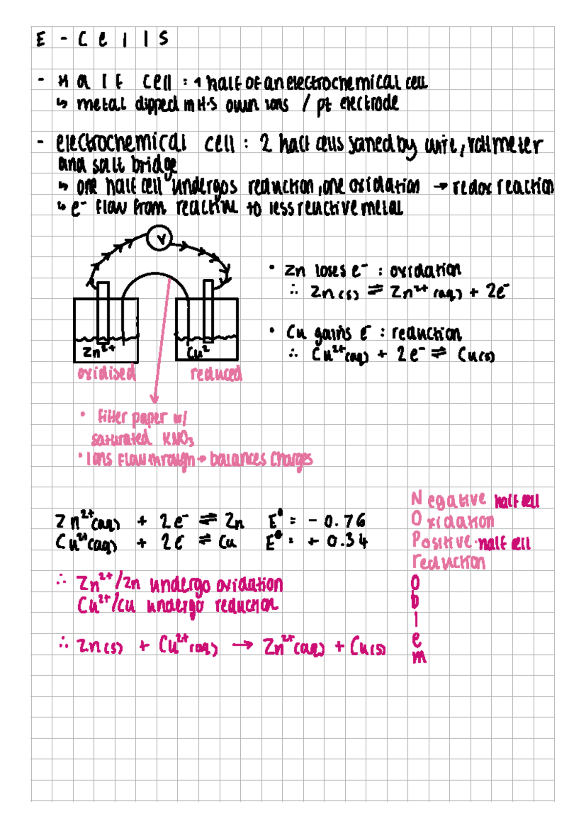 E cells PDF - Studocu