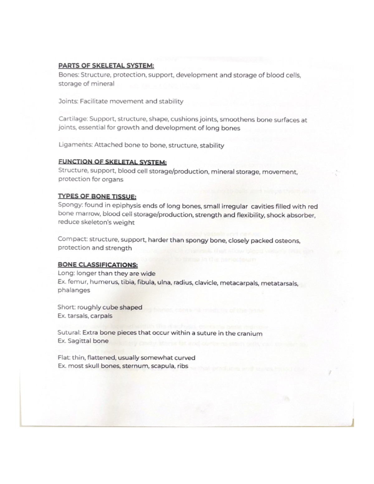 Unit 04 Skeletal System Study Guide - PARTS OF SKELETAL SYSTEM: Bones ...