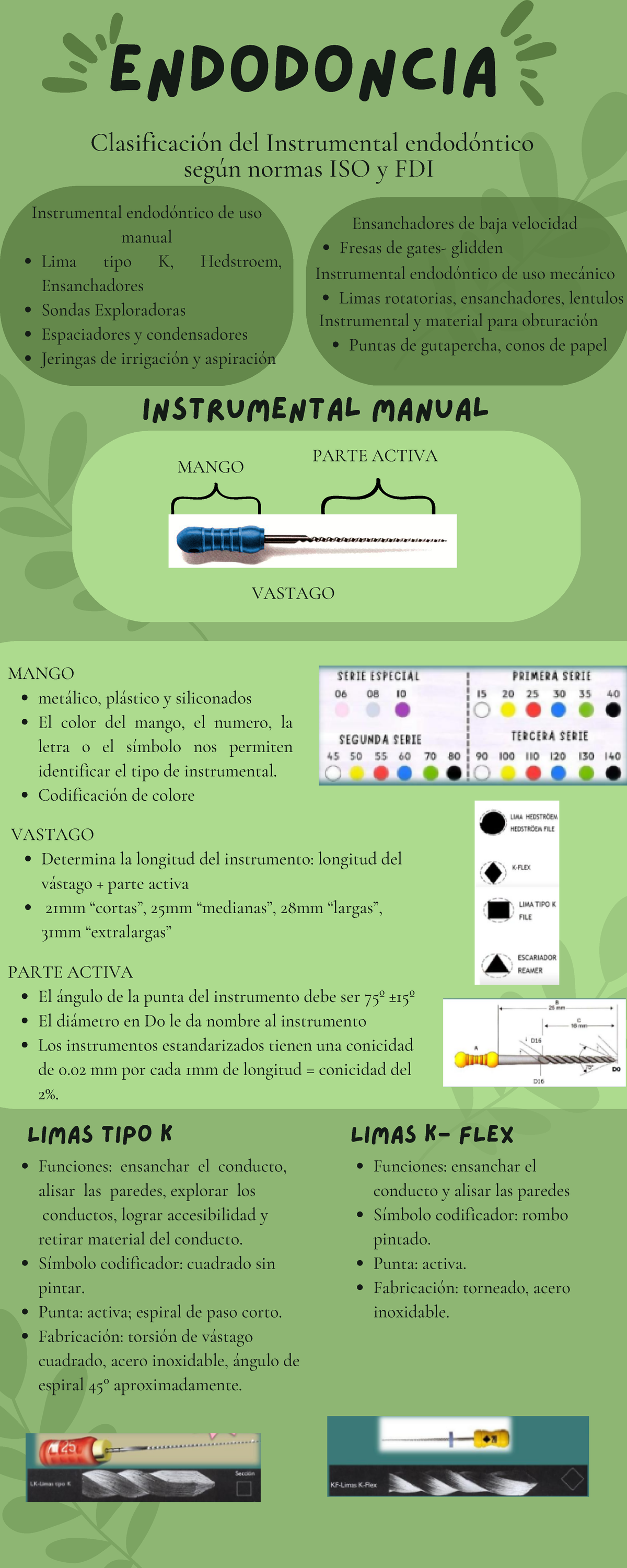 Instrumental Endodoncia - Endodoncia MANGO PARTE ACTIVA VASTAGO ...