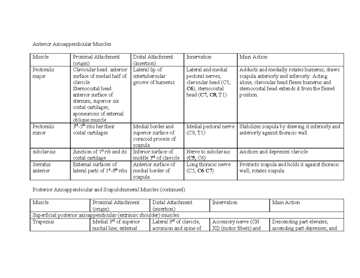 Scheme Anteriour Axioappendicular Muscles - Anterior Axioappendicular ...